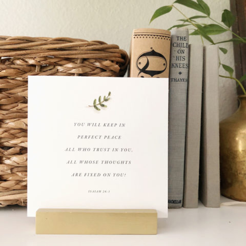 scripture cards - emily lex