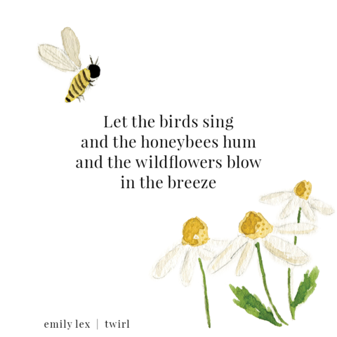 twirlbook - emily lex